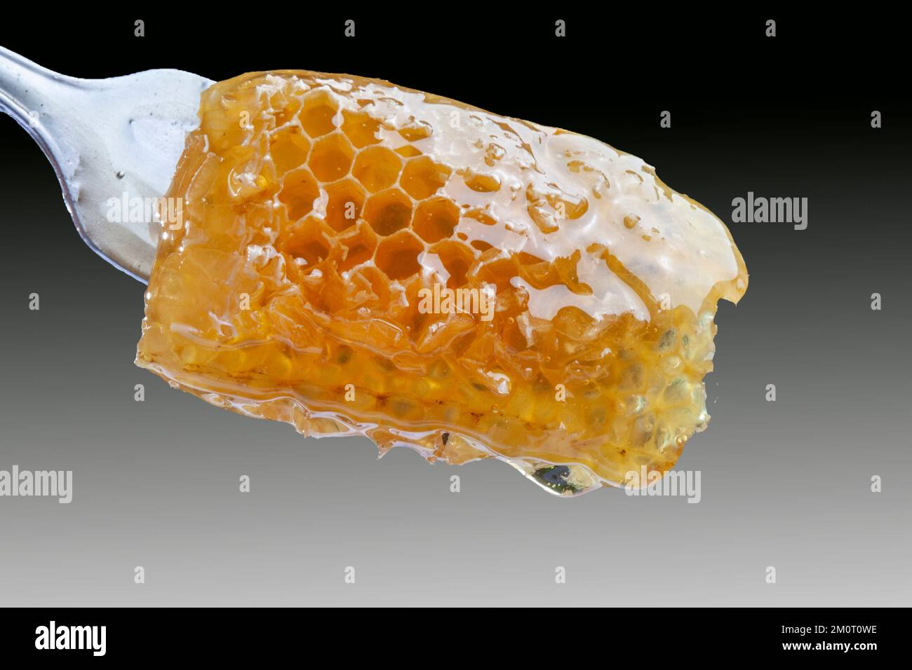 honeycomb on fork, fresh honey Stock Photo - Alamy