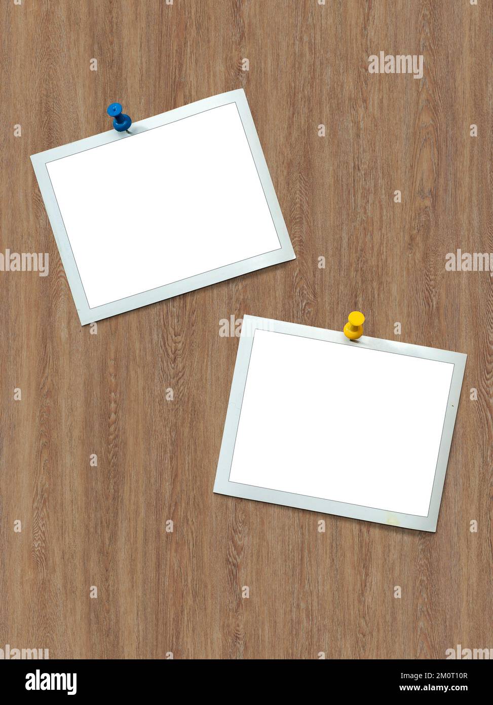 Instant frames hang on Wood wall paneling with colored pins Stock Photo ...