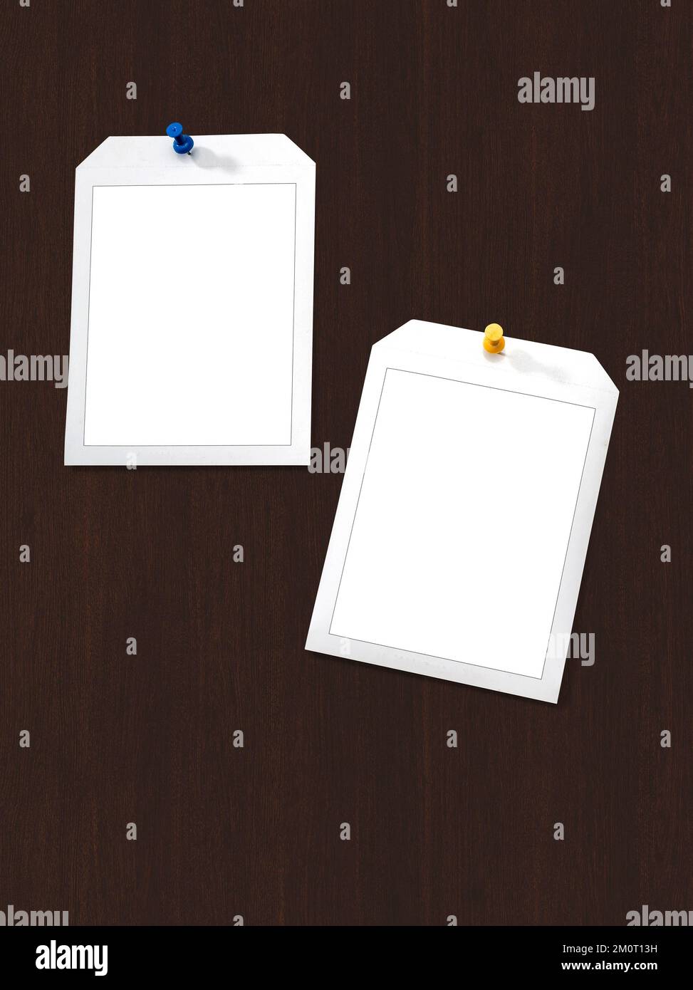 Instant frames hang on Wood wall paneling with colored pins Stock Photo ...