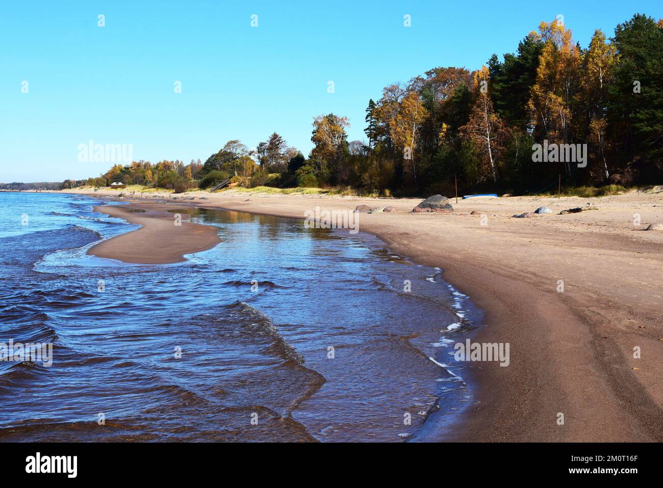 An empty beach shore near trees under a clear blue sky Stock Photo - Alamy