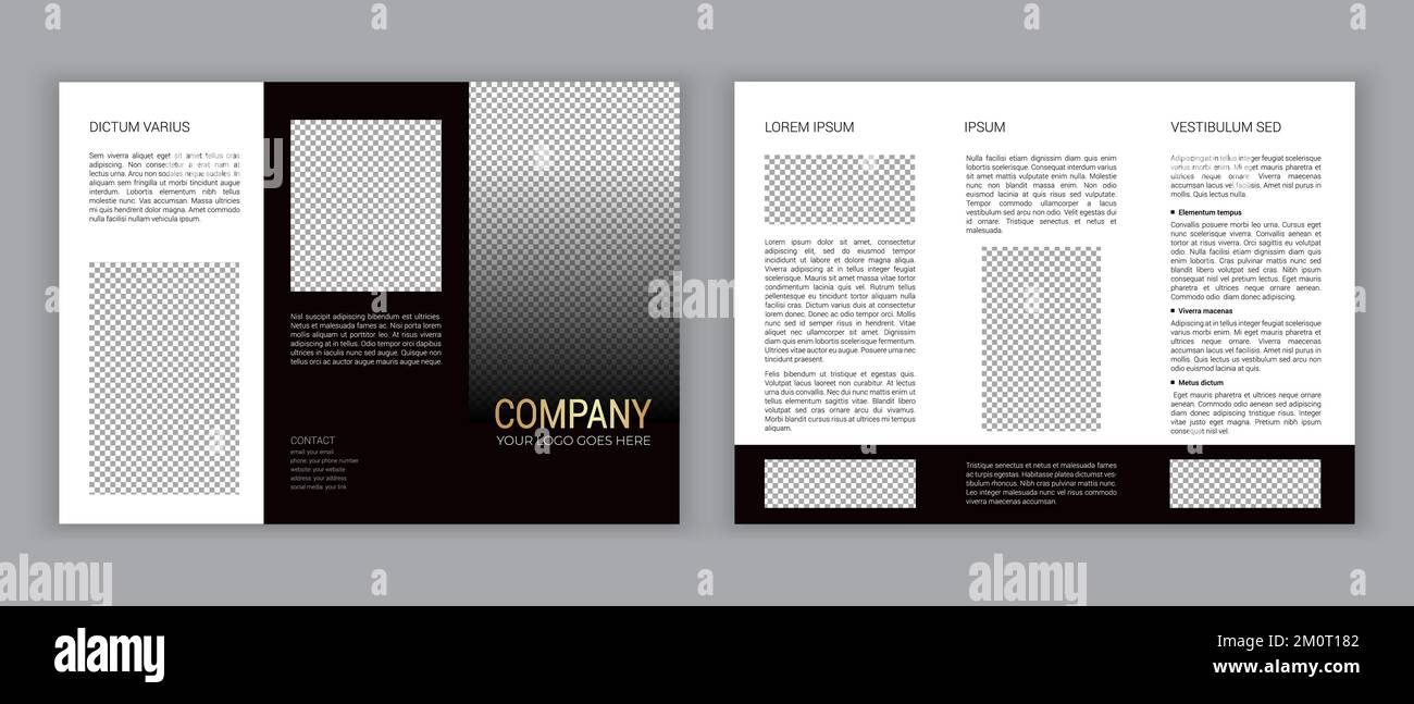 Elegant Minimal Tri Fold Brochure Template Stock Vector Image & Art - Alamy