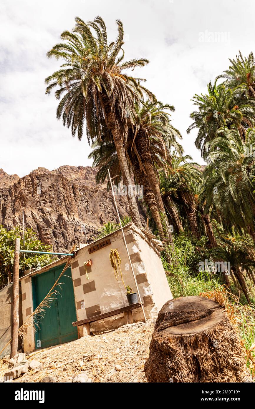Valley of the thousand palms hi-res stock photography and images - Alamy