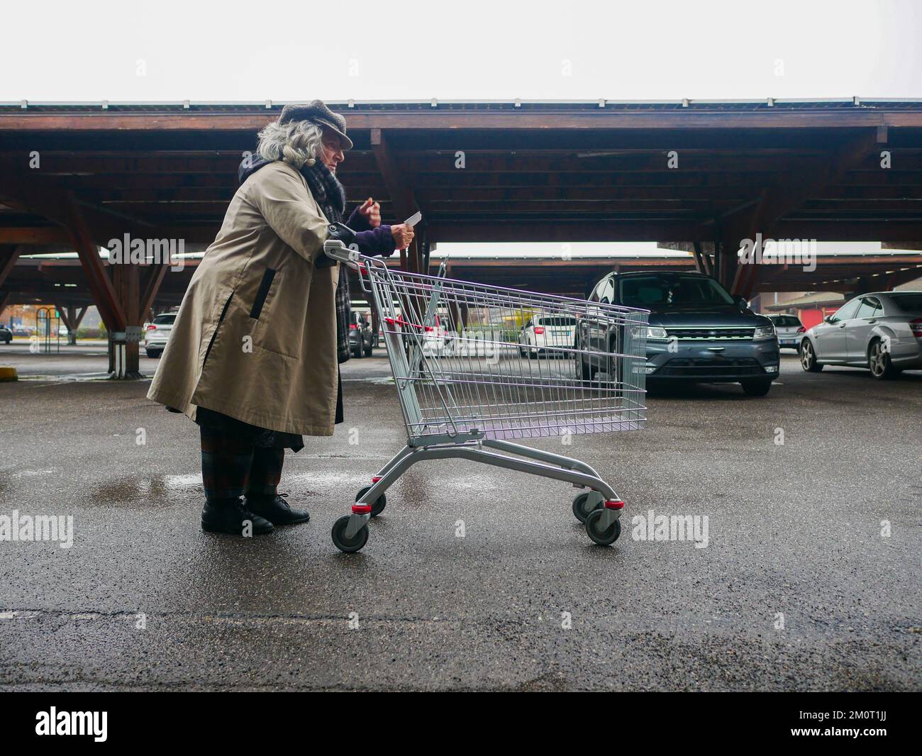 hispanic young adult woman pushing cart reading hand written groceries ...