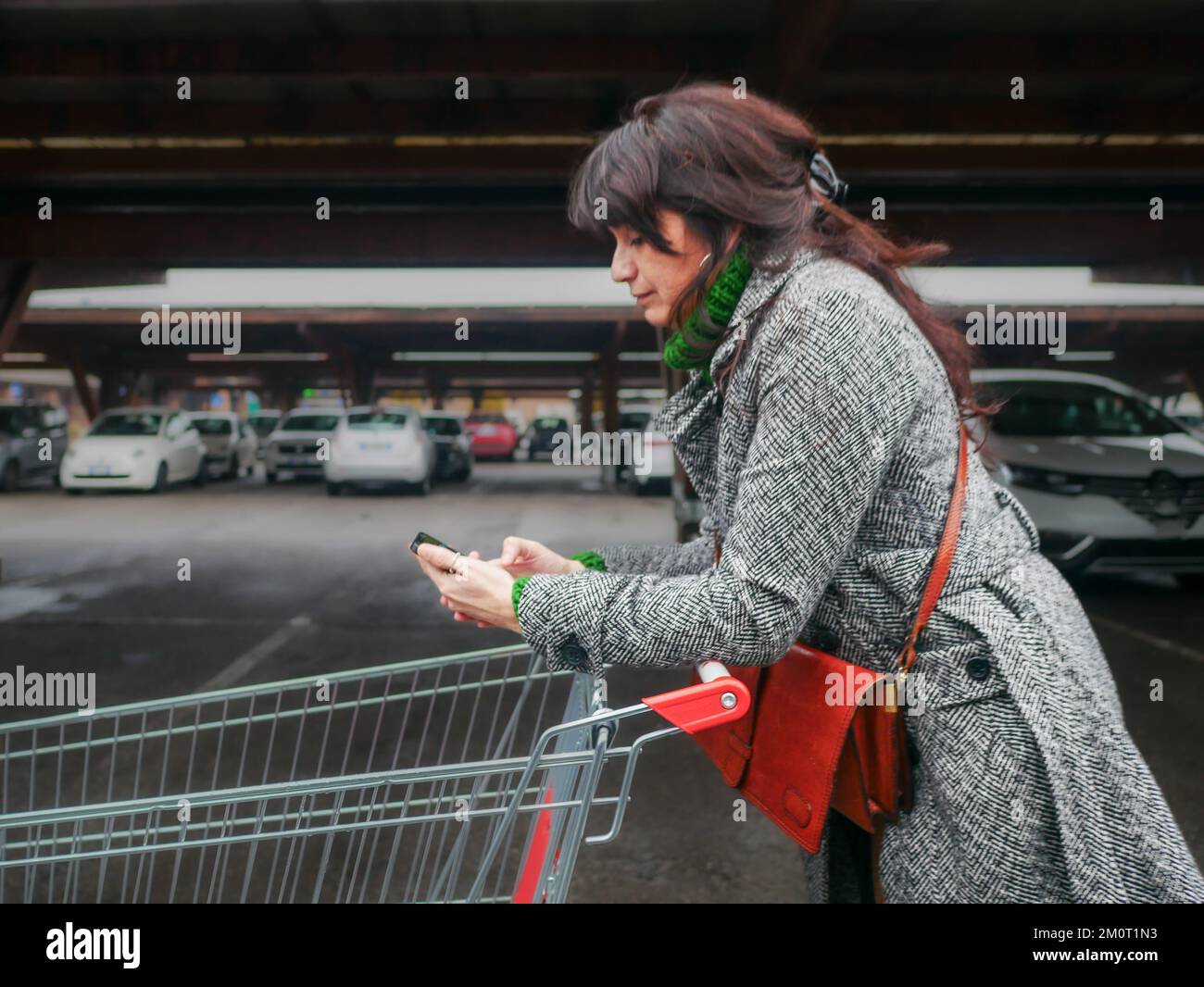 hispanic young adult woman pushing cart reading smartphone groceries ...