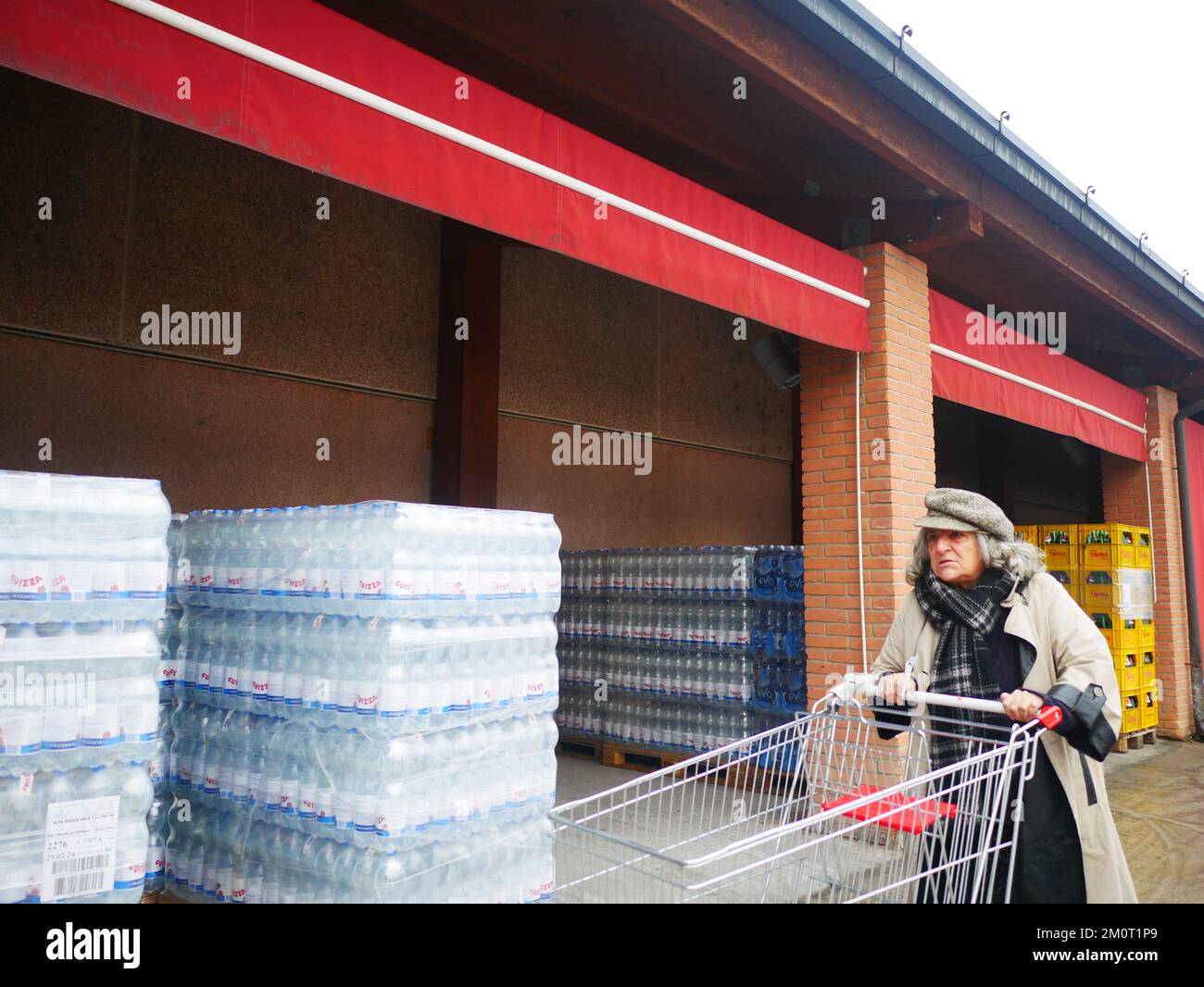 hispanic young adult woman pushing cart reading hand written groceries ...