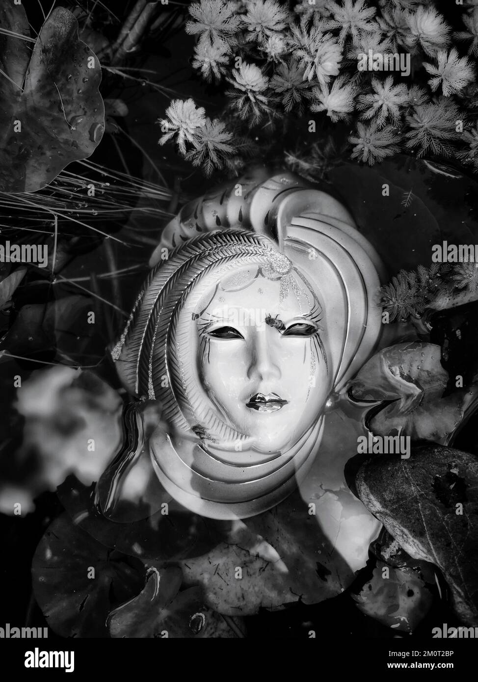 A vertical grayscale closeup of a carnival mask Stock Photo - Alamy