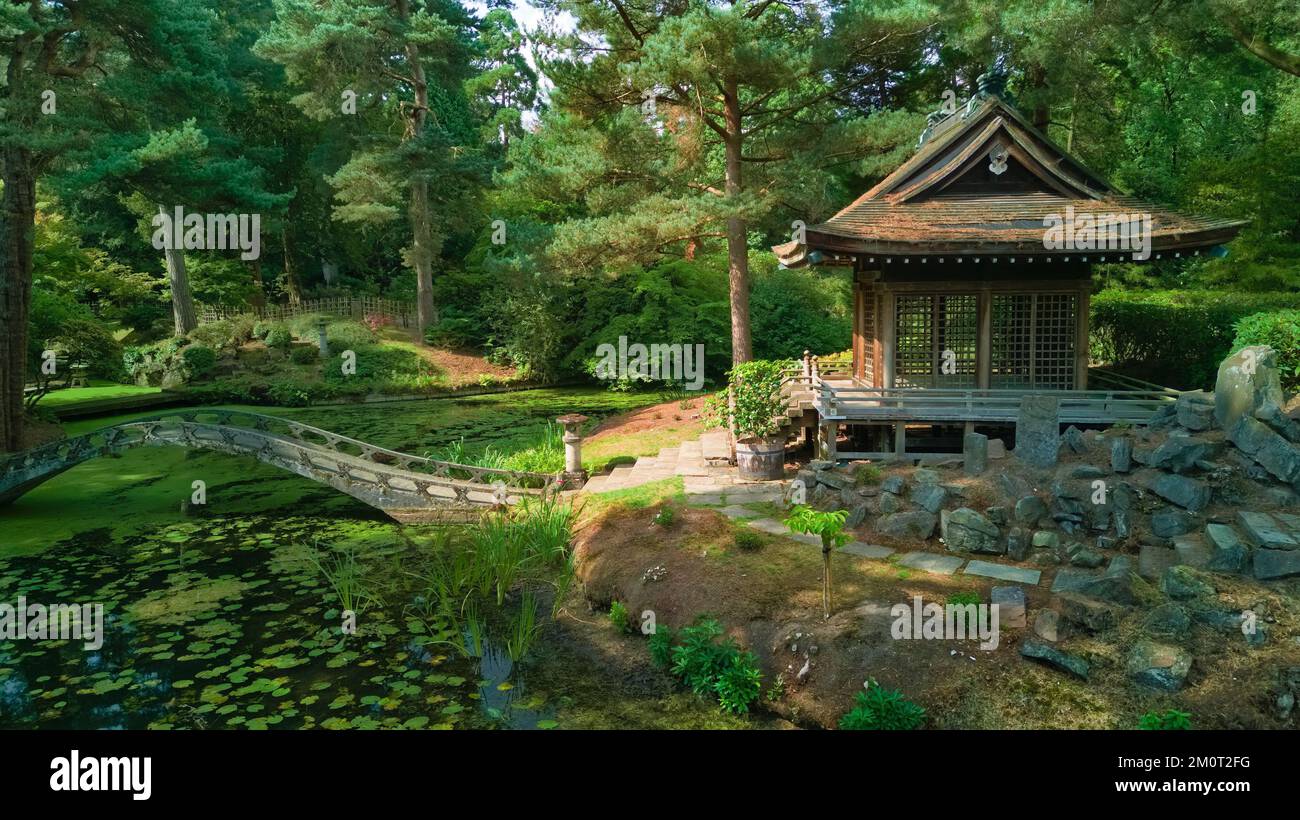 A beautiful Japanese garden with a Shinto Shrine and a small bridge ...