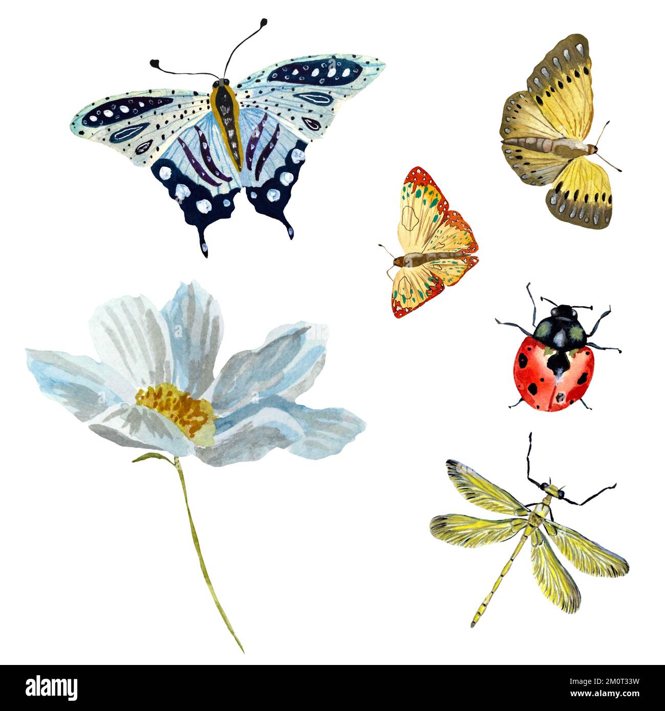 Dragonfly drawing Cut Out Stock Images & Pictures - Alamy