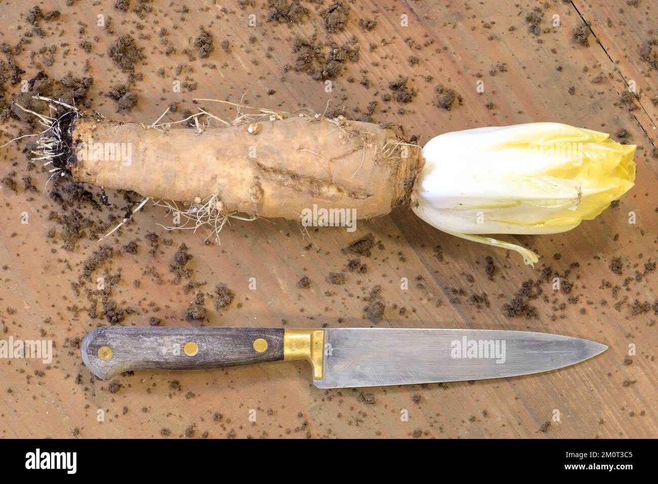 France, Pas de Calais, Sud Artois, Achiet le Petit, La Ferme aux ...