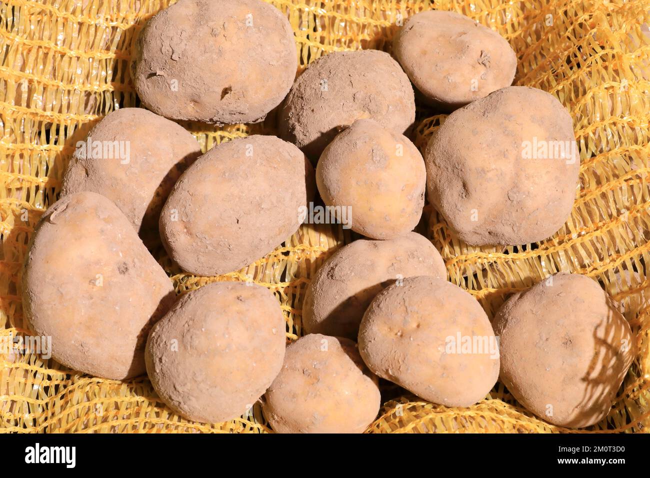 Bintje potato hi-res stock photography and images - Alamy