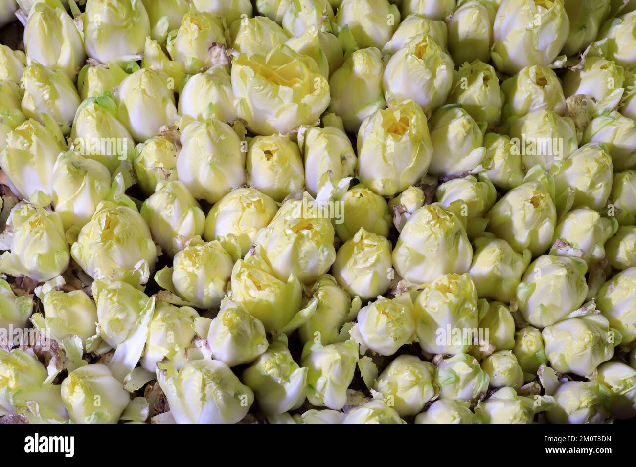 France, Pas de Calais, Sud Artois, Achiet le Petit, La Ferme aux ...