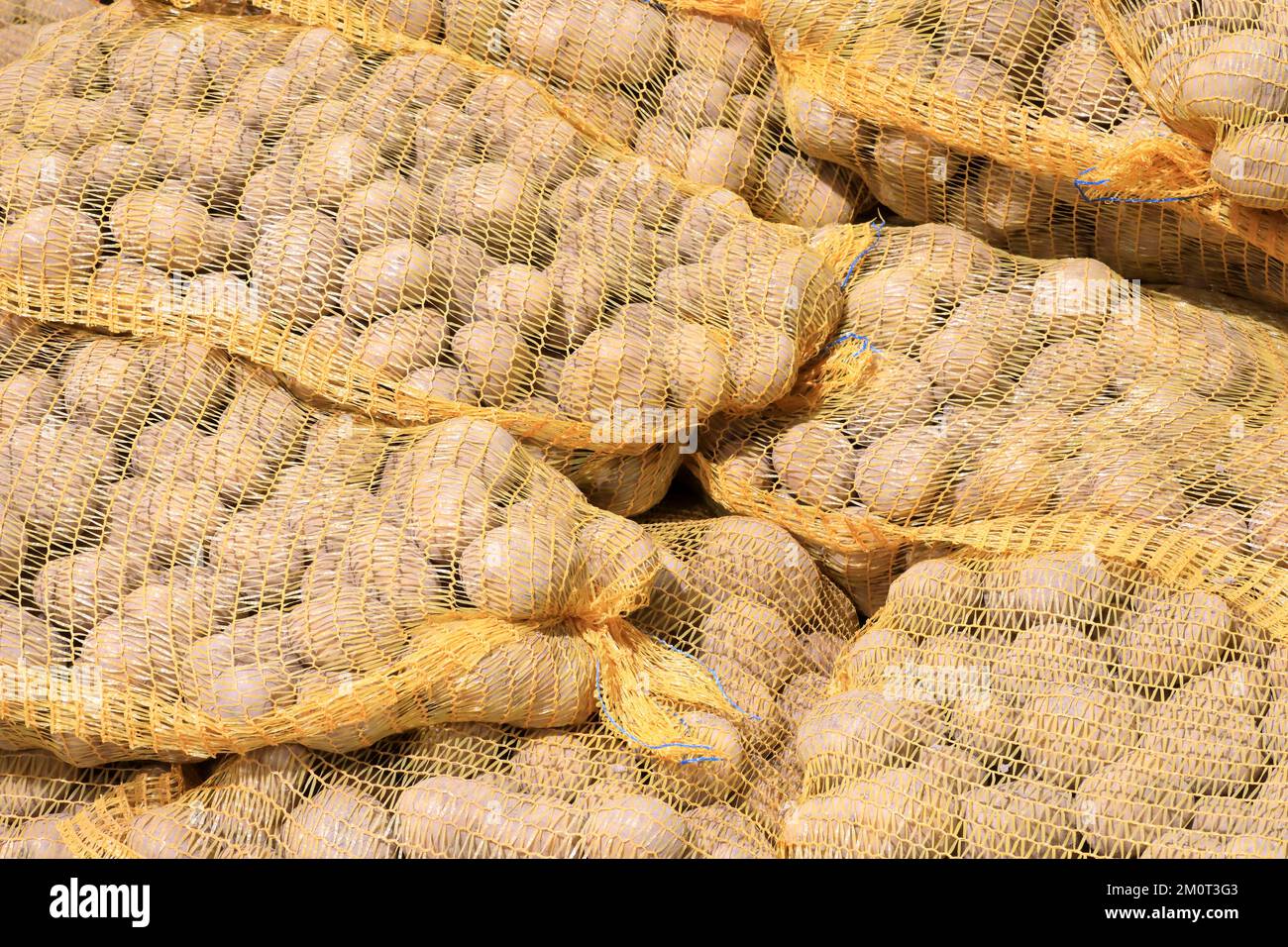 Bintje potato hi-res stock photography and images - Alamy
