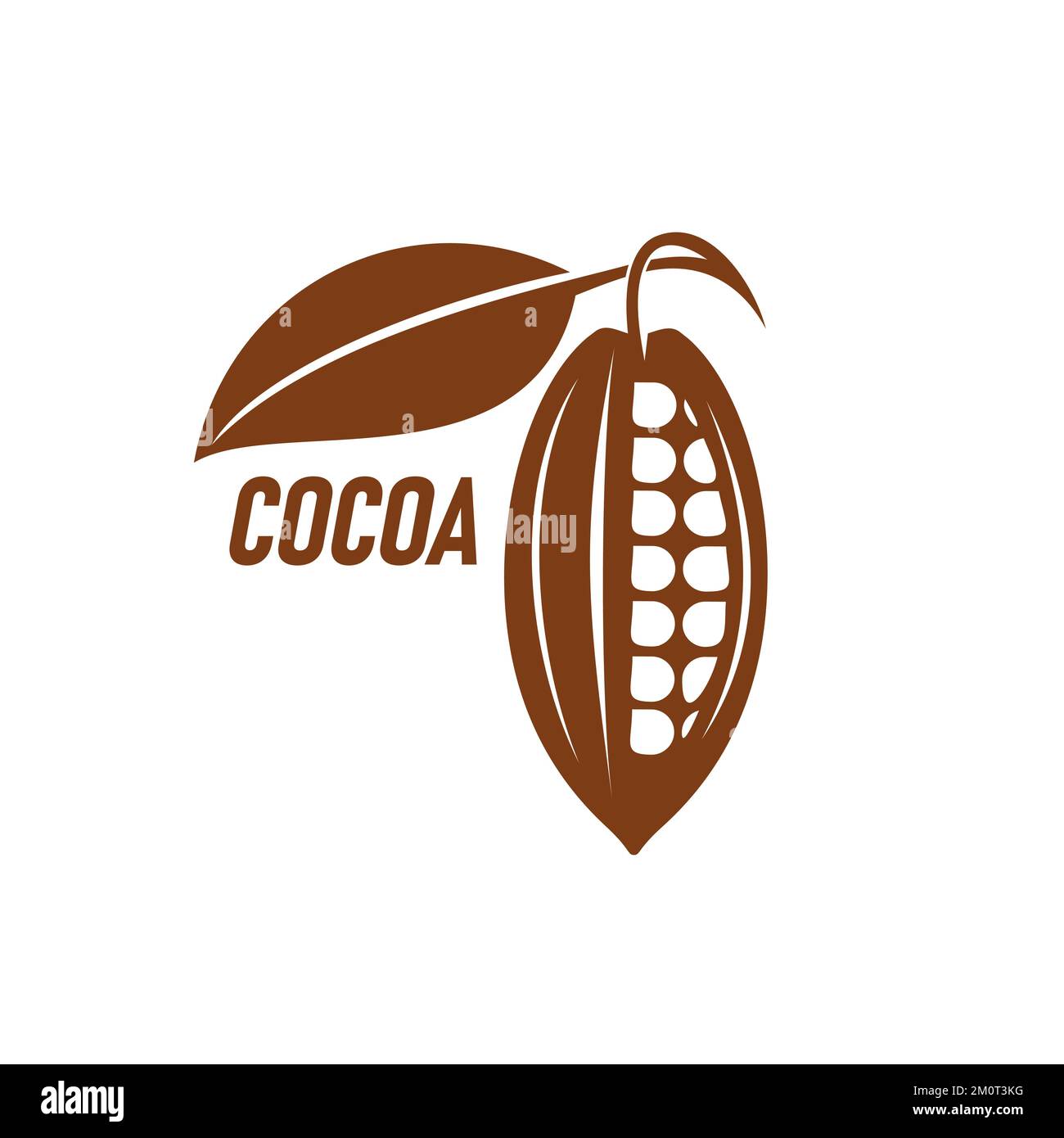 Cocoa tree seeds Stock Vector Images - Alamy