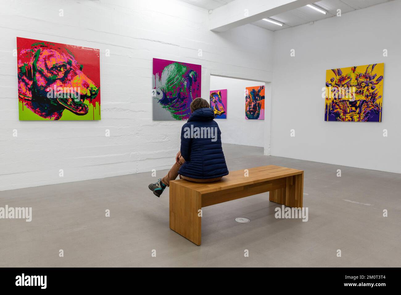 Norway, Nordland County, Lofoten Islands, Henningsvaer, Kaviar Factory ...