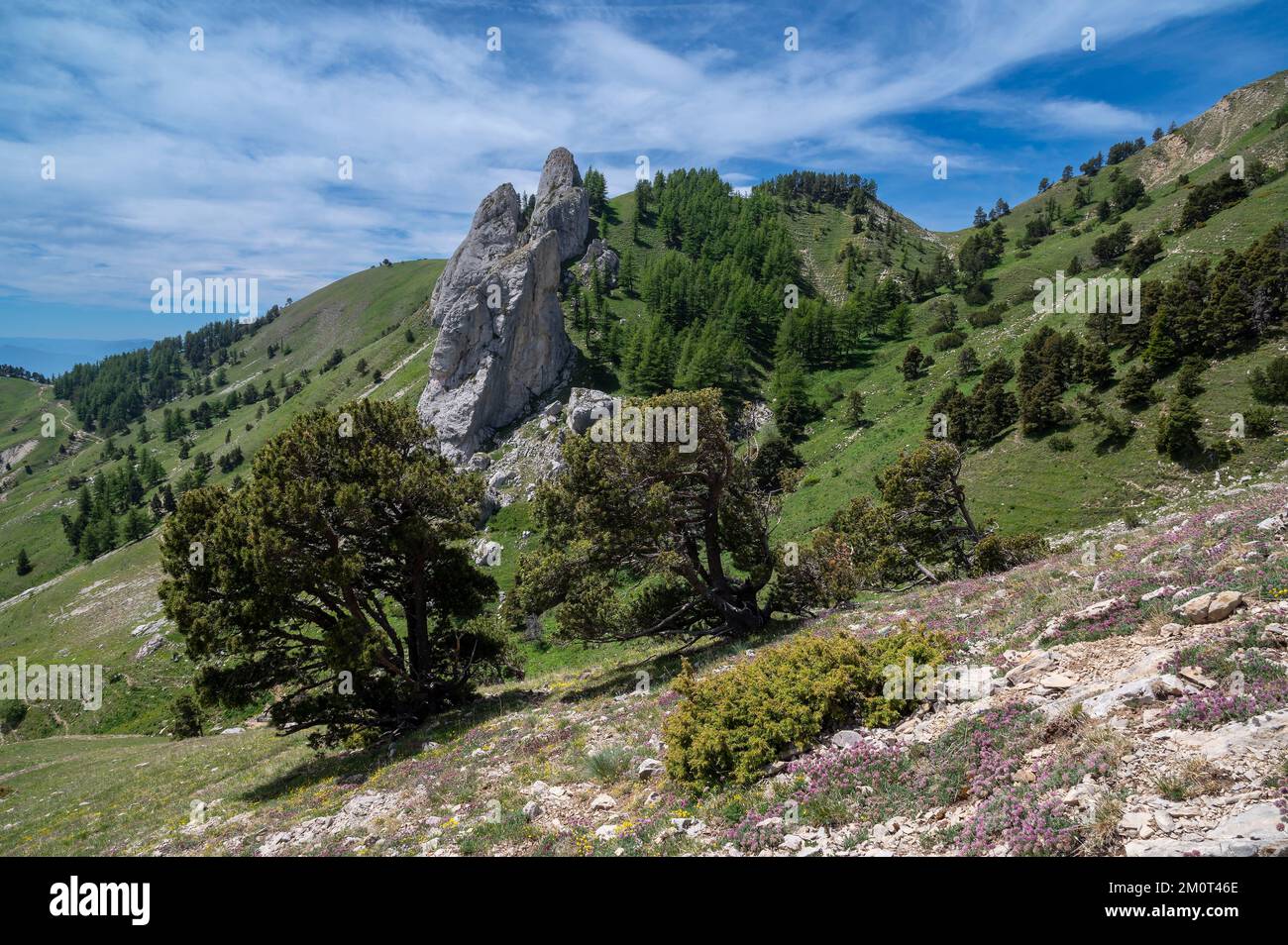 France, Drome, Lus la Croix Haute, D?voluy massif, hike to the Plate ...