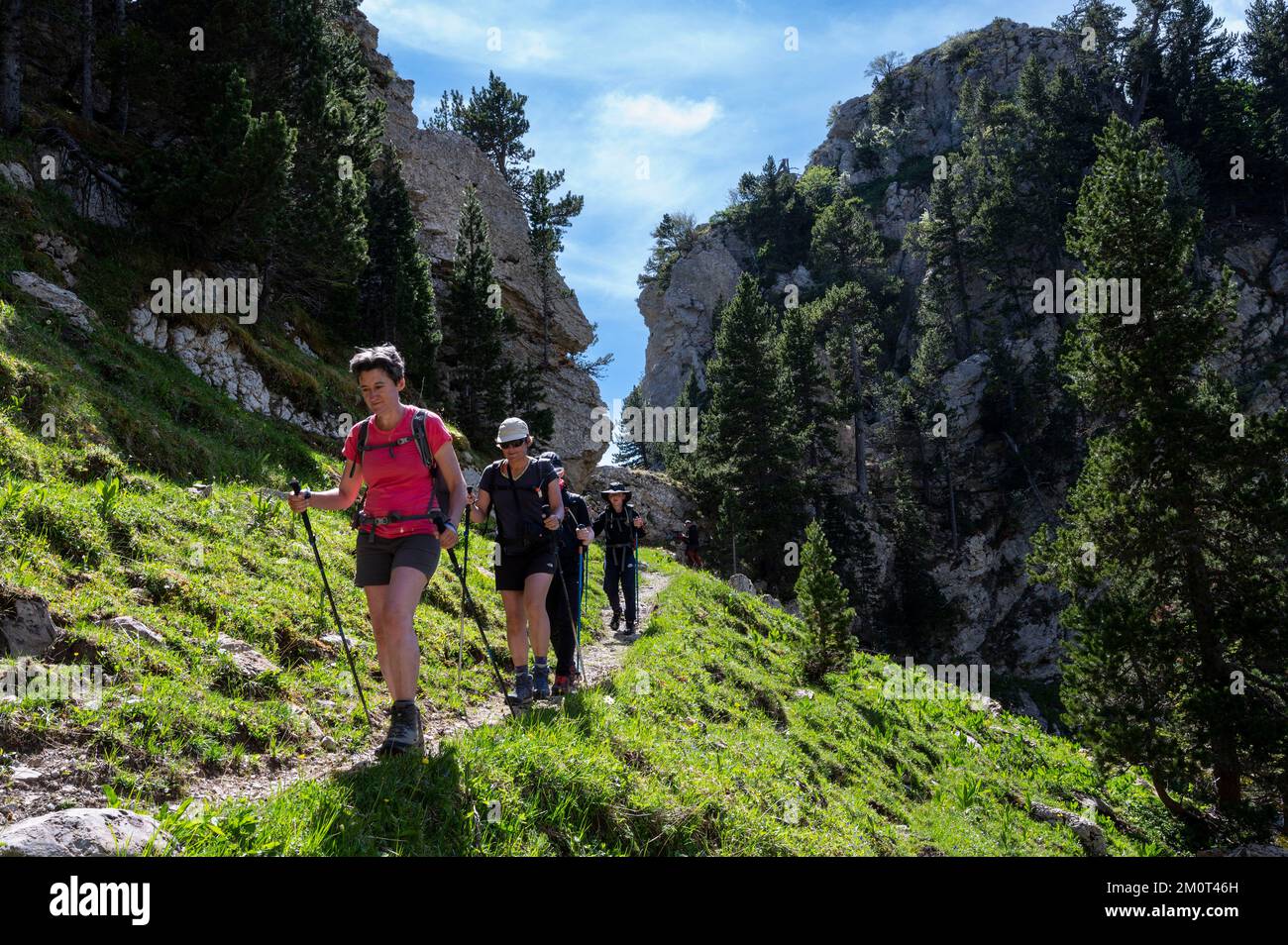 France, Drome, Lus la Croix Haute, D?voluy massif, hike to the Plate ...