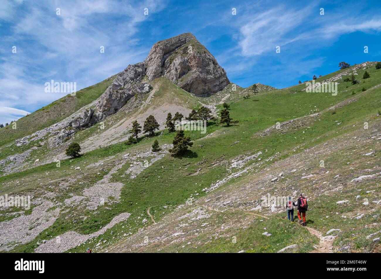 France, Drome, Lus la Croix Haute, D?voluy massif, hike to the Col de ...