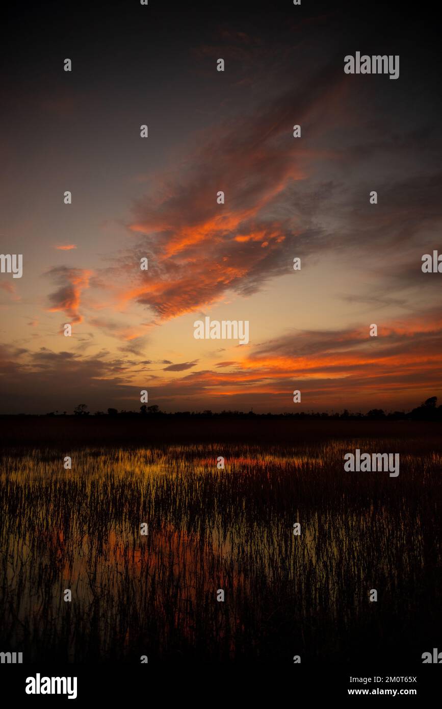 A vertical shot of a beautiful sunset on Shem creek with a cloudy sky ...