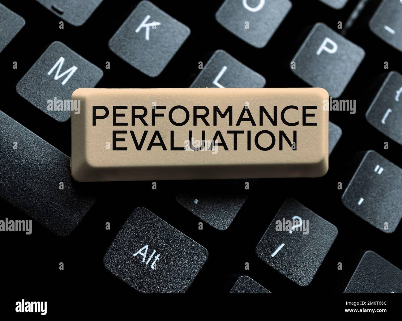 Text Caption Presenting Performance Evaluation Business Approach The