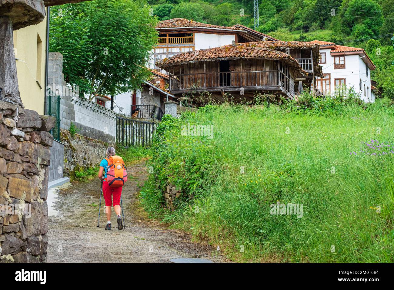Spain, Principality of Asturias, surroundings of Salas, hike on the ...