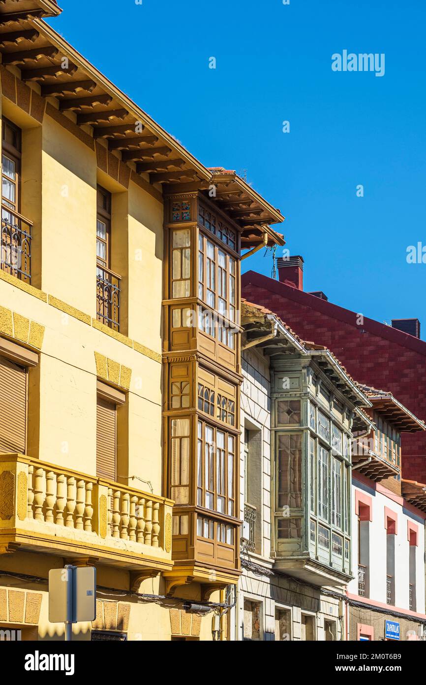 Spain, Principality of Asturias, Tineo, stage on the Camino Primitivo ...