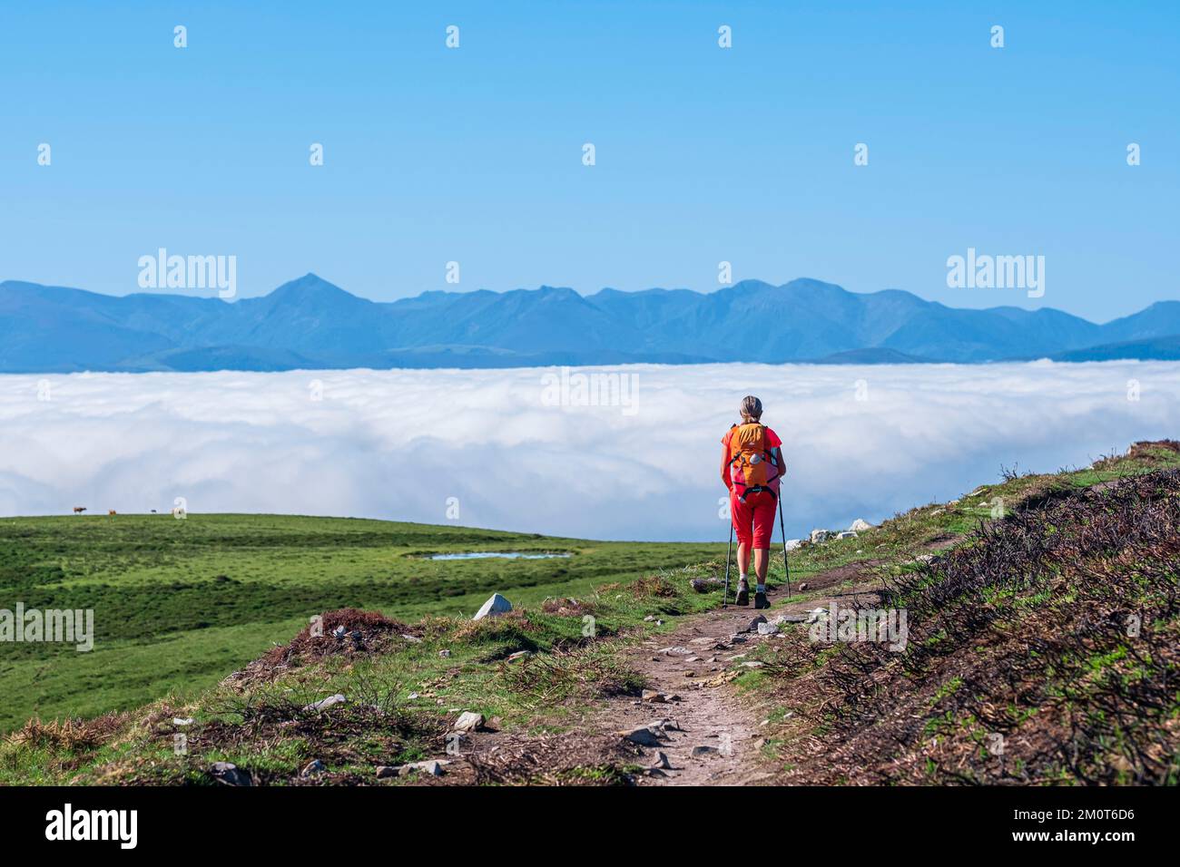 Spain, Principality of Asturias, municipality of Tineo, hike on the ...