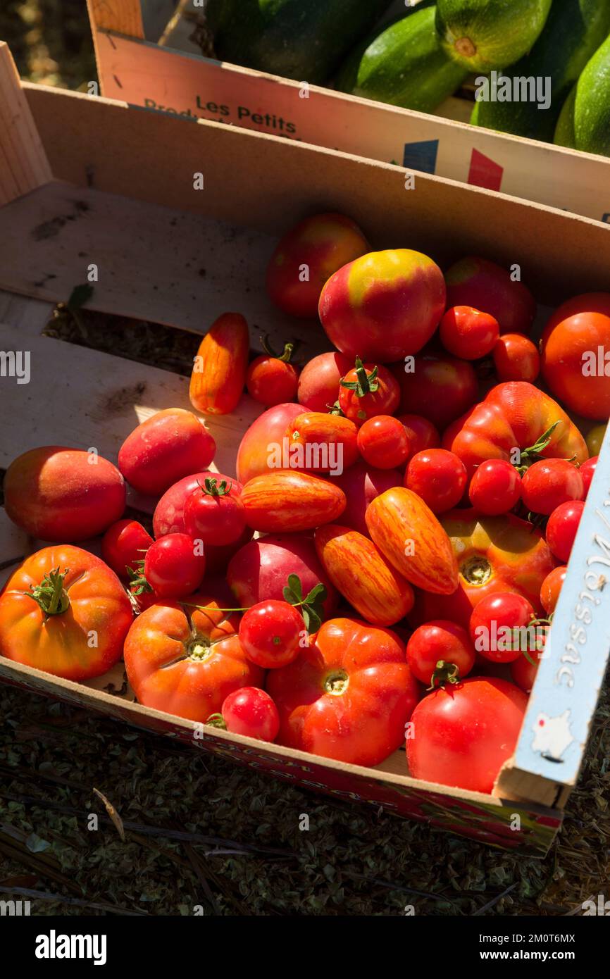 France, Indre et Loire, Ch?digny, village labeled remarkable garden ...
