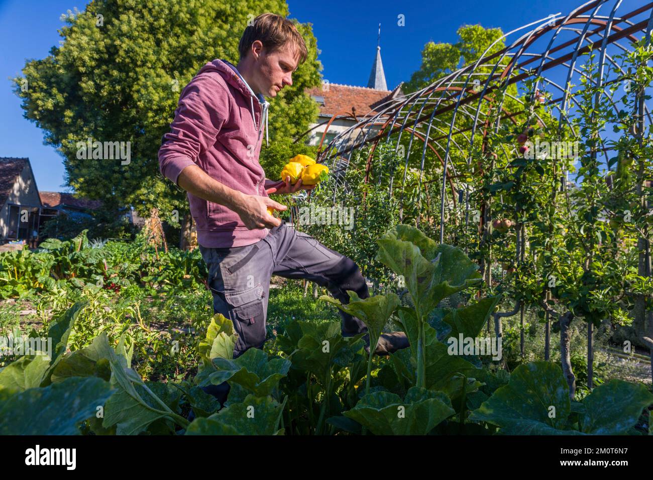 France, Indre et Loire, Ch?digny, village labeled remarkable garden ...
