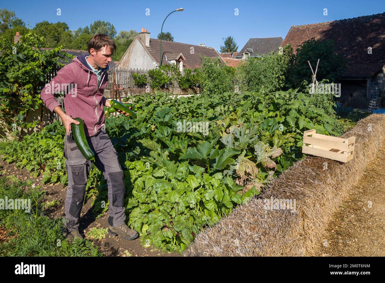 France, Indre et Loire, Ch?digny, village labeled remarkable garden ...