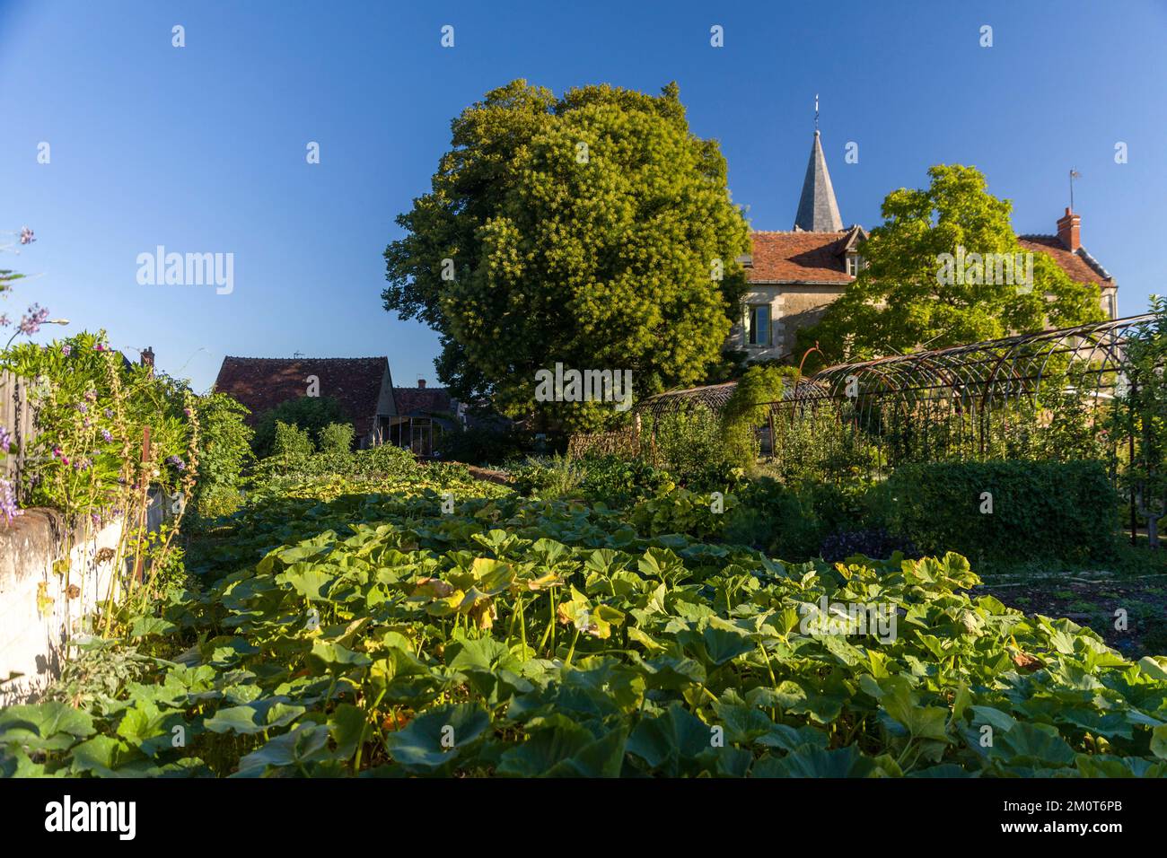 France, Indre et Loire, Ch?digny, village labeled remarkable garden ...