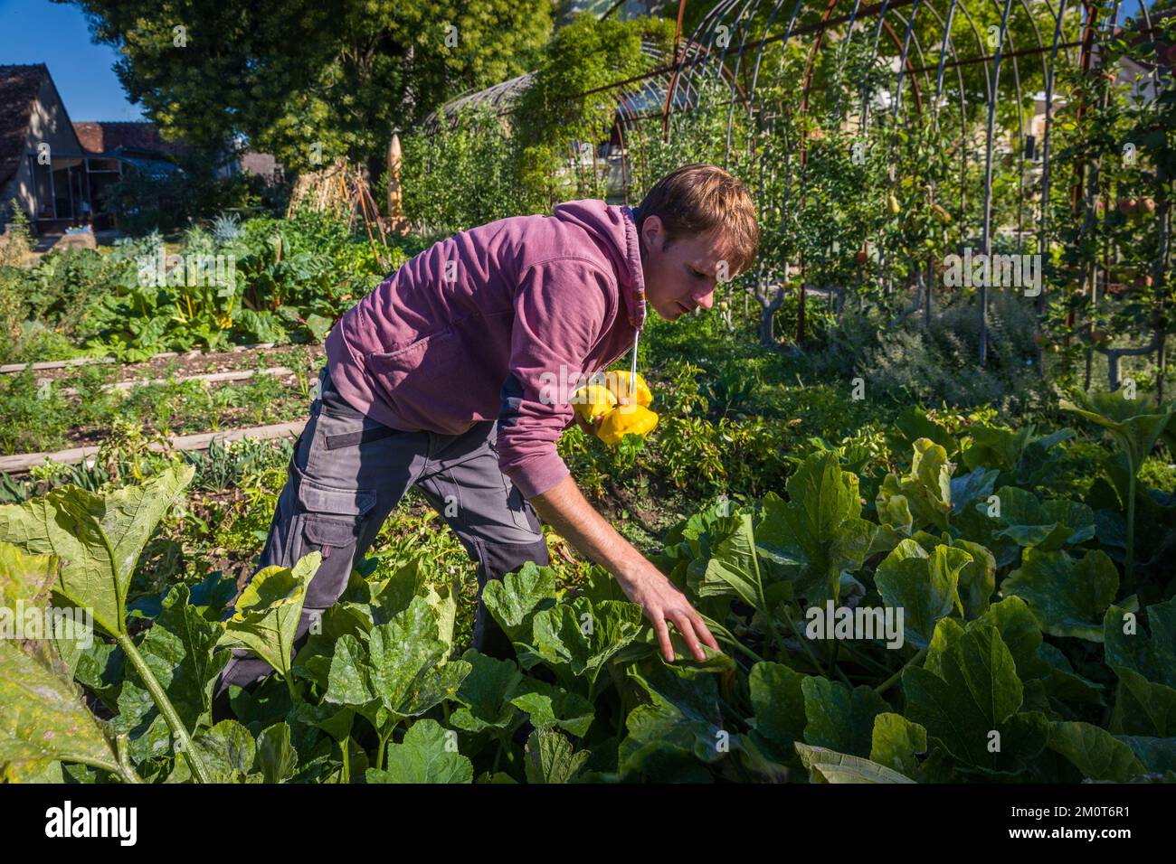 France, Indre et Loire, Ch?digny, village labeled remarkable garden ...