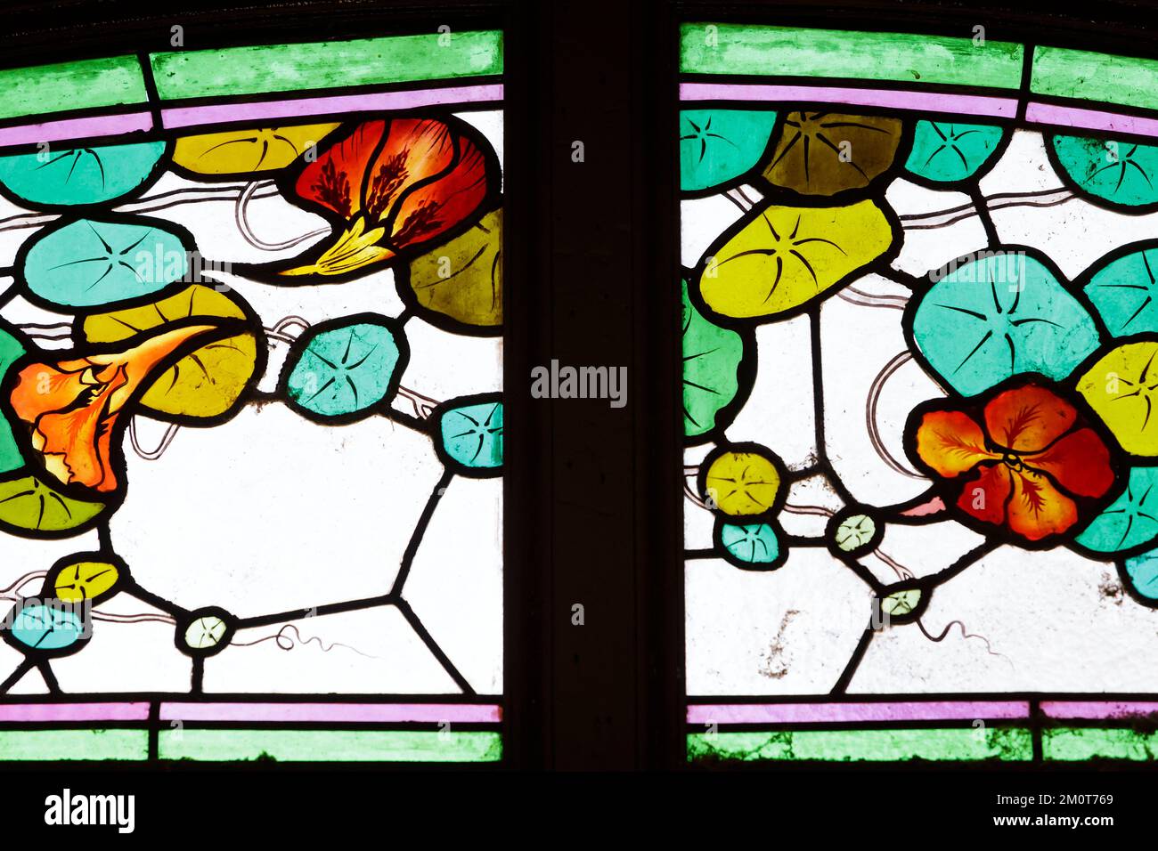 France, Meurthe et Moselle, Nancy, skylight on the doorway of a house ...