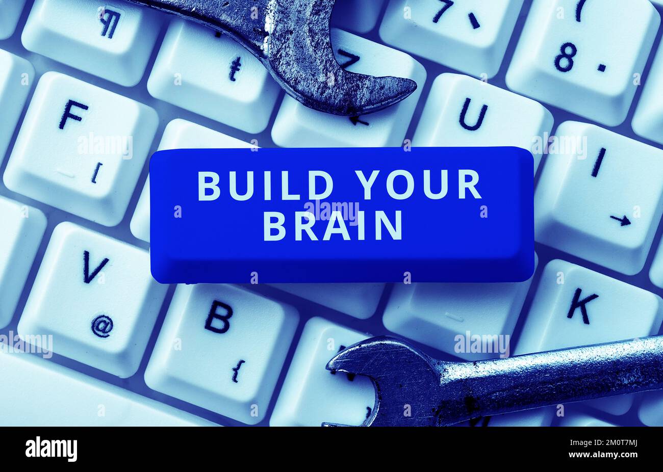 Text caption presenting Build Your Brain. Business overview mental ...