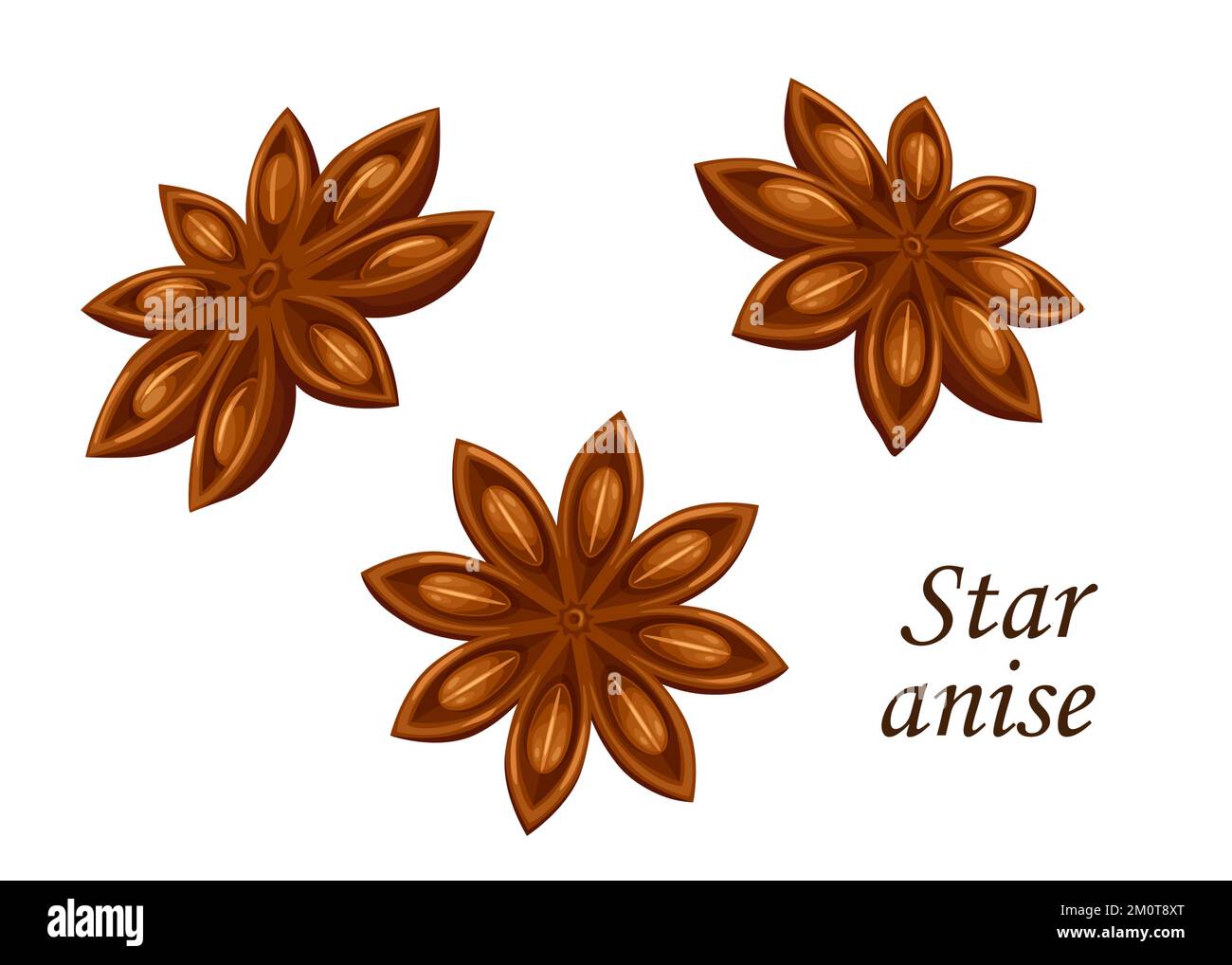 Chinese star fruits Stock Vector Images - Alamy