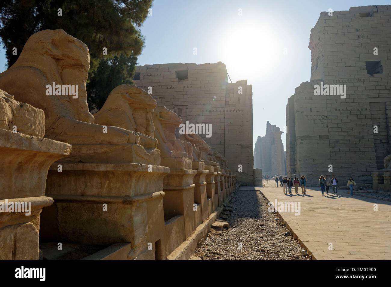 Egypt, Upper Egypt, Nile Valley, Luxor, Karnak, listed as World ...