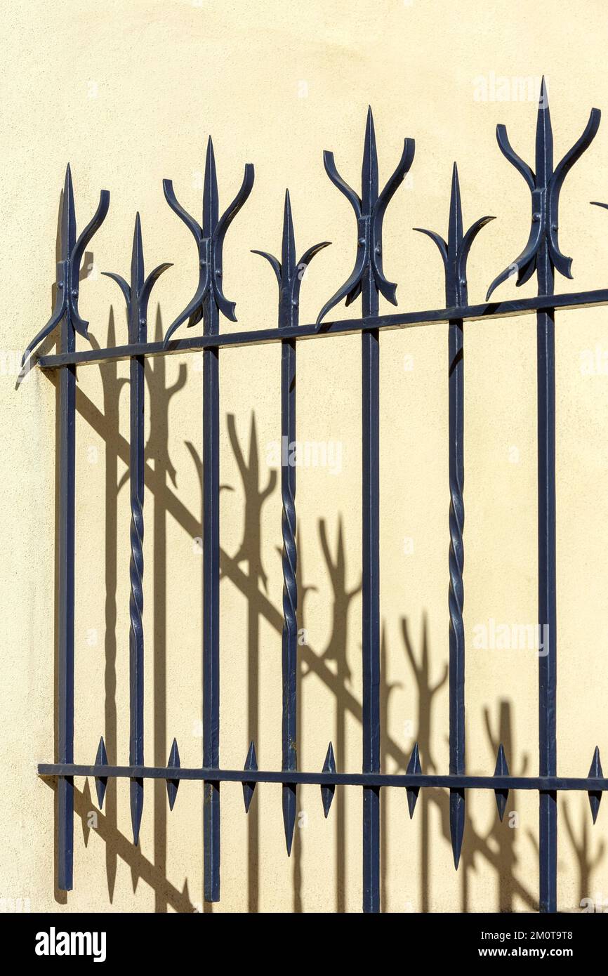 France, Meurthe et Moselle, Nancy, detail of the ironwork made of ...