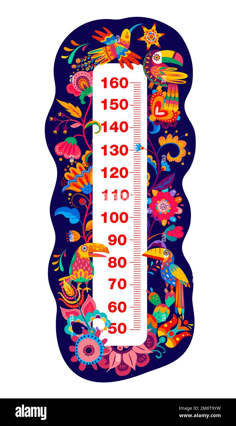 Kids height chart. Mexican toucan birds, hummingbirds and flowers ...