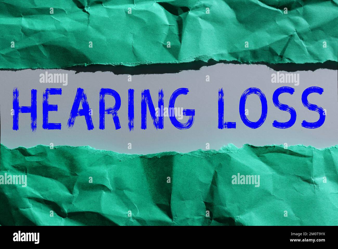 Text sign showing Hearing Loss. Concept meaning is partial or total ...