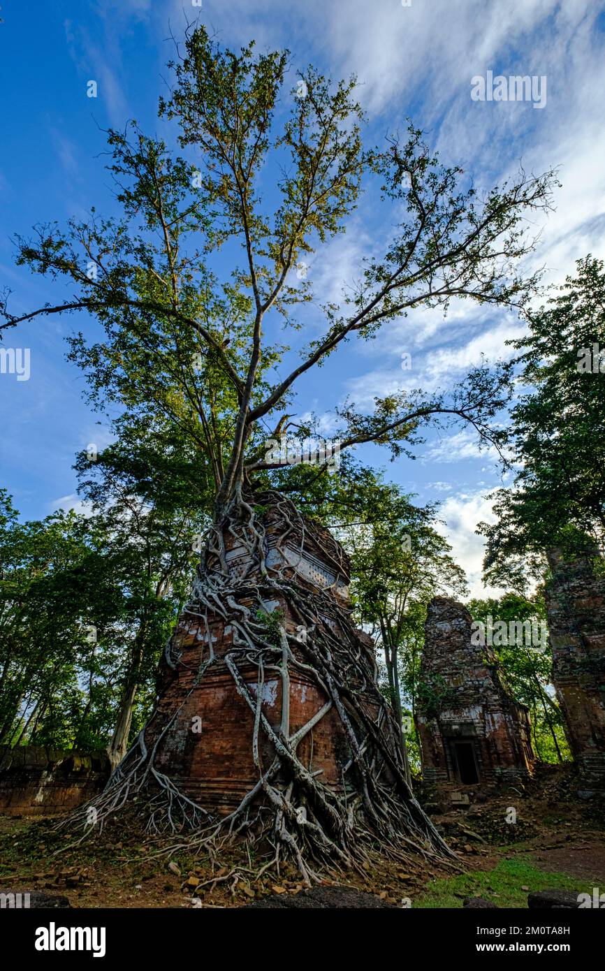 Cambodia, Koh Ker, former Khmer capital in X century under Jayavarman ...