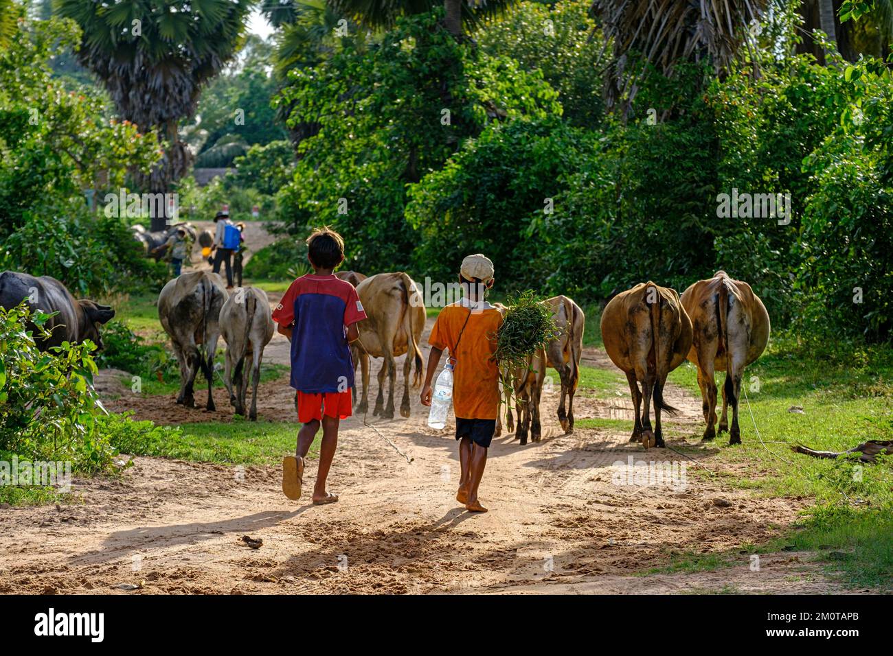 Cambodia, Kompong Thom province, Kompong Thom or Kampong Thom, back the ...