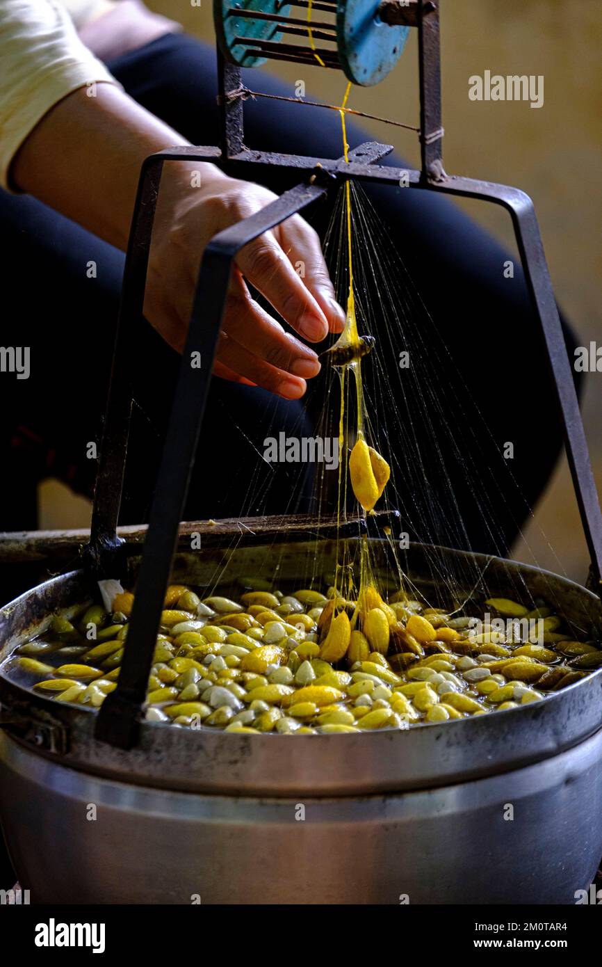 Cambodia, handicraft, silk work, unwinding cocoons Stock Photo - Alamy
