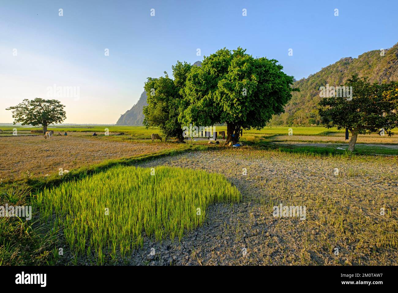 Myanmar, Burma, Karen or Kayin state, Hpa An Stock Photo - Alamy