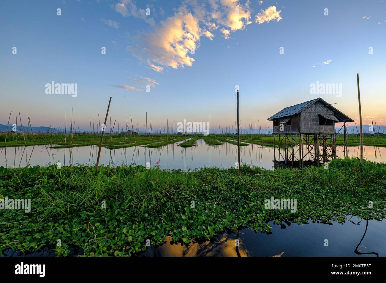 Burma, Myanmar, Shan state, Inle Lake, village and floating gardens of ...