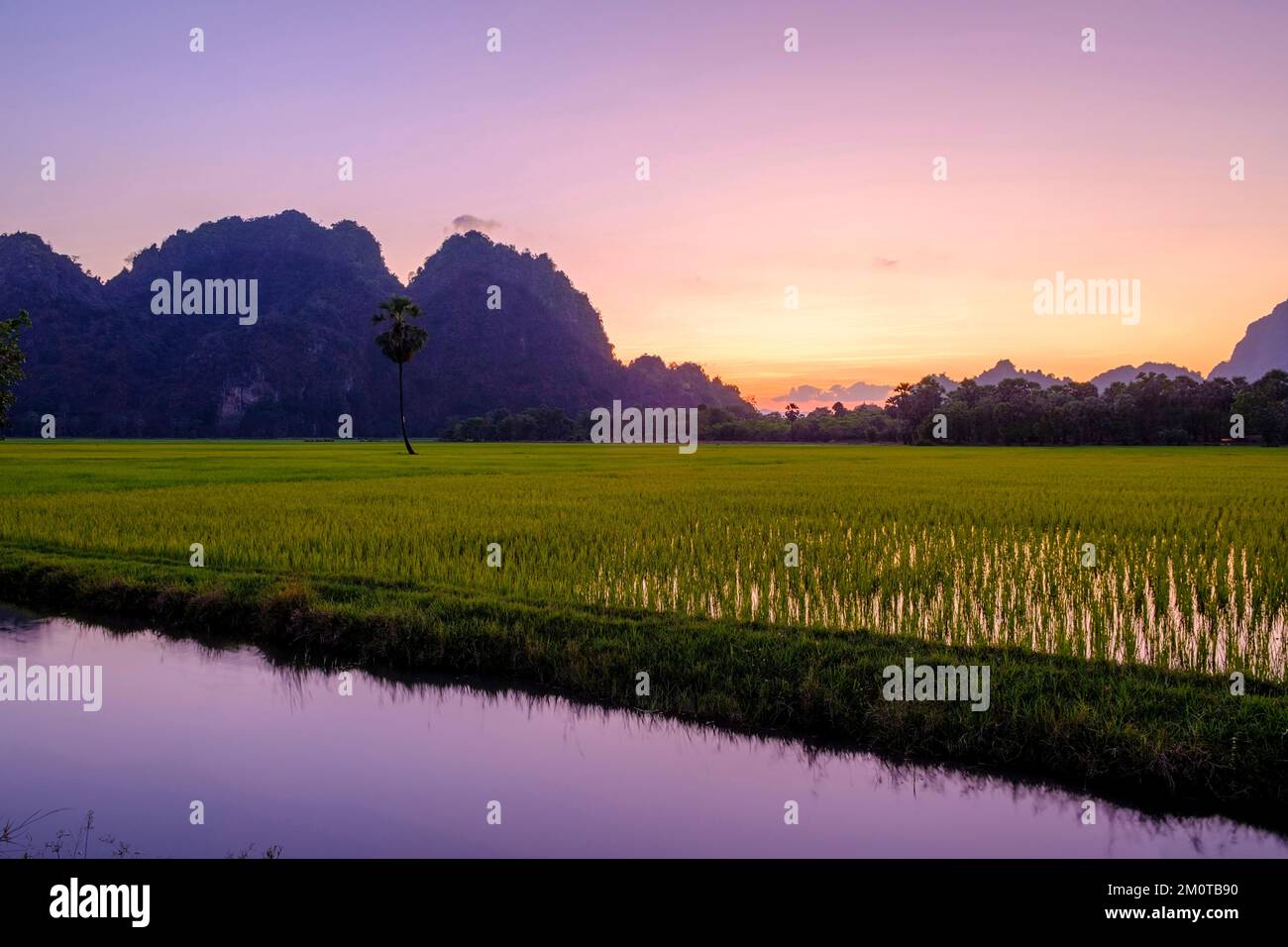 Myanmar, Burma, Karen or Kayin state, Hpa An, rice fields Stock Photo ...