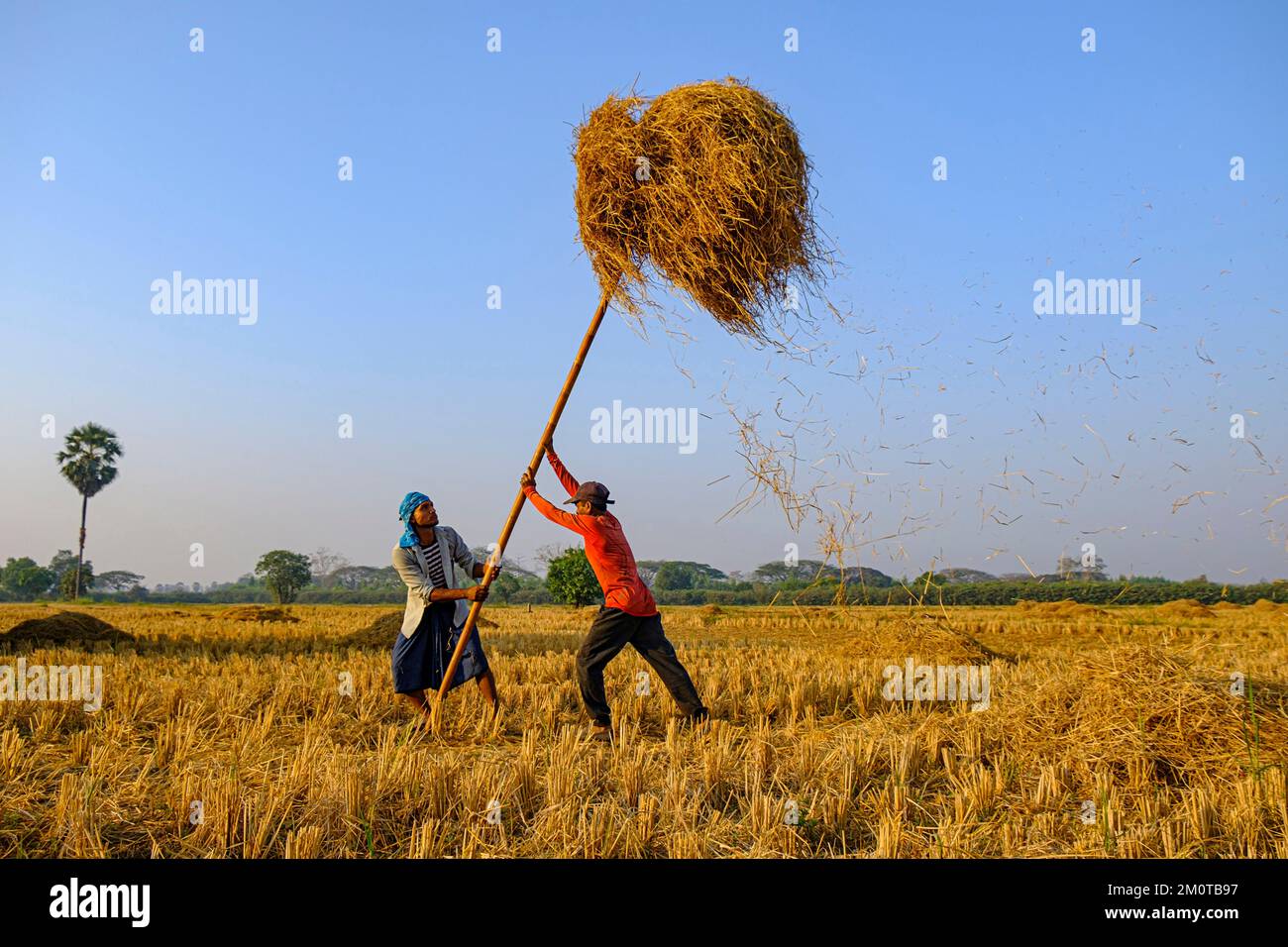 Myanmar, Burma, Karen state, Hpa An, rice-field in karstic landscape ...