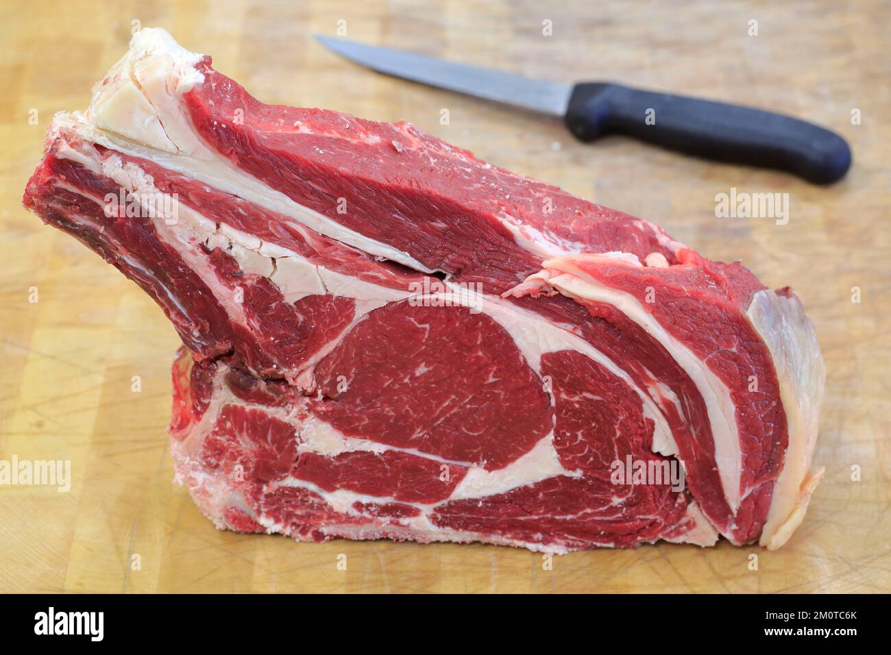 France, Puy de Dome, Auvergne volcanoes regional natural park, Monts ...