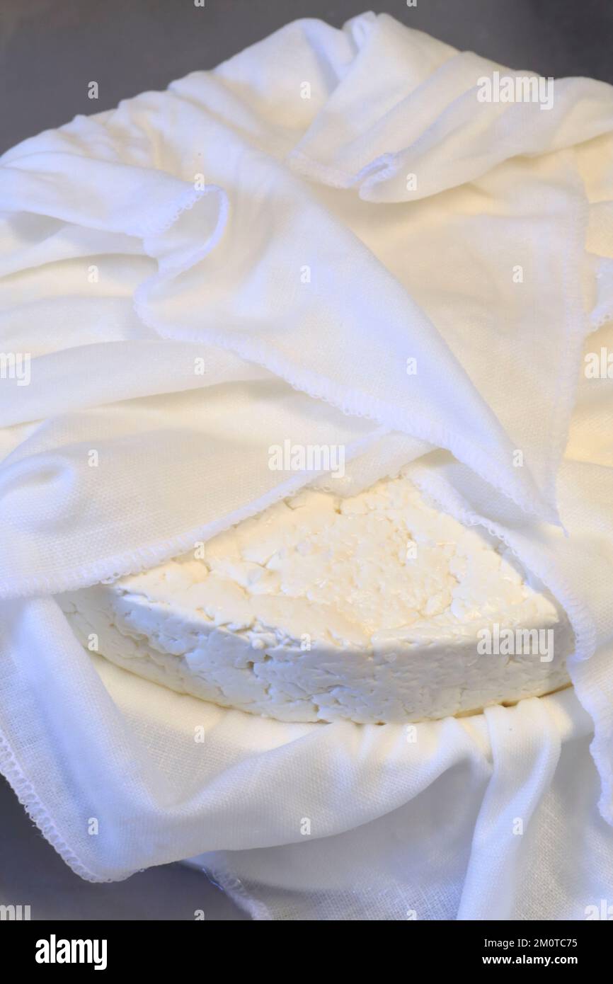 France, Puy de Dome, Auvergne volcanoes regional natural park, Monts ...