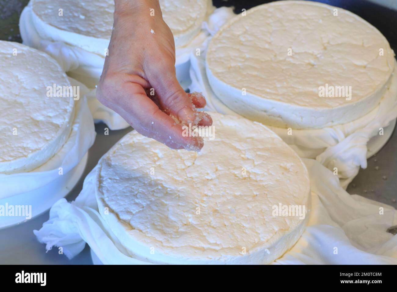 France, Puy de Dome, Auvergne volcanoes regional natural park, Monts ...