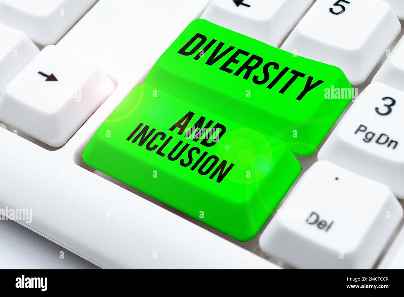 Text sign showing Diversity And Inclusion. Word Written on range human ... Text sign showing Diversity And Inclusion. Word Written on range human ...