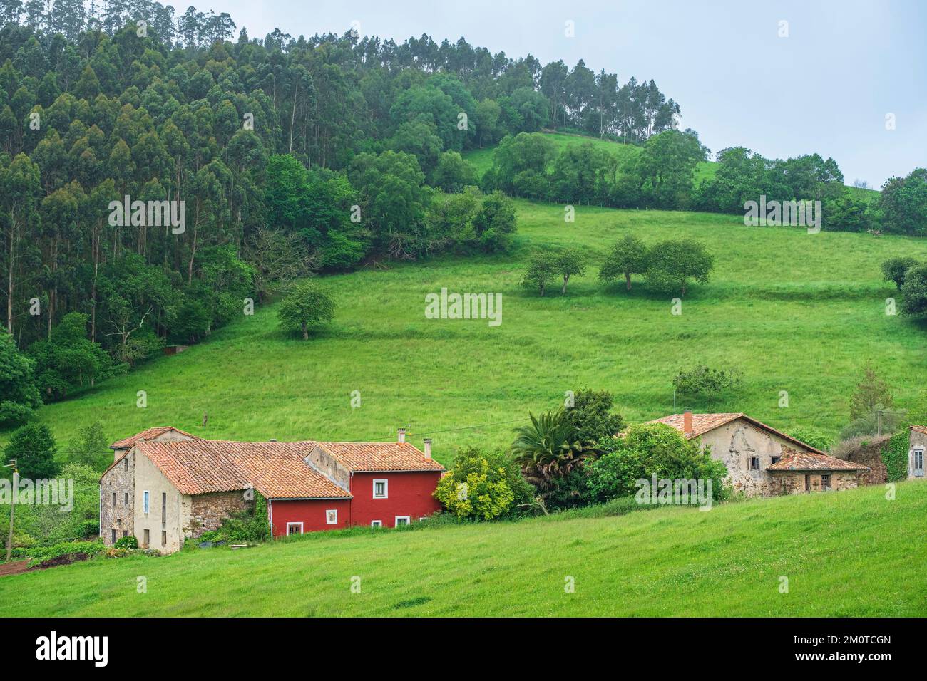 La llera hi-res stock photography and images - Alamy